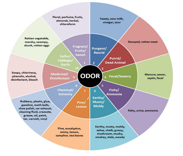 Does Your Water Smell Off? Use This Guide to Identify the Odor – North Star